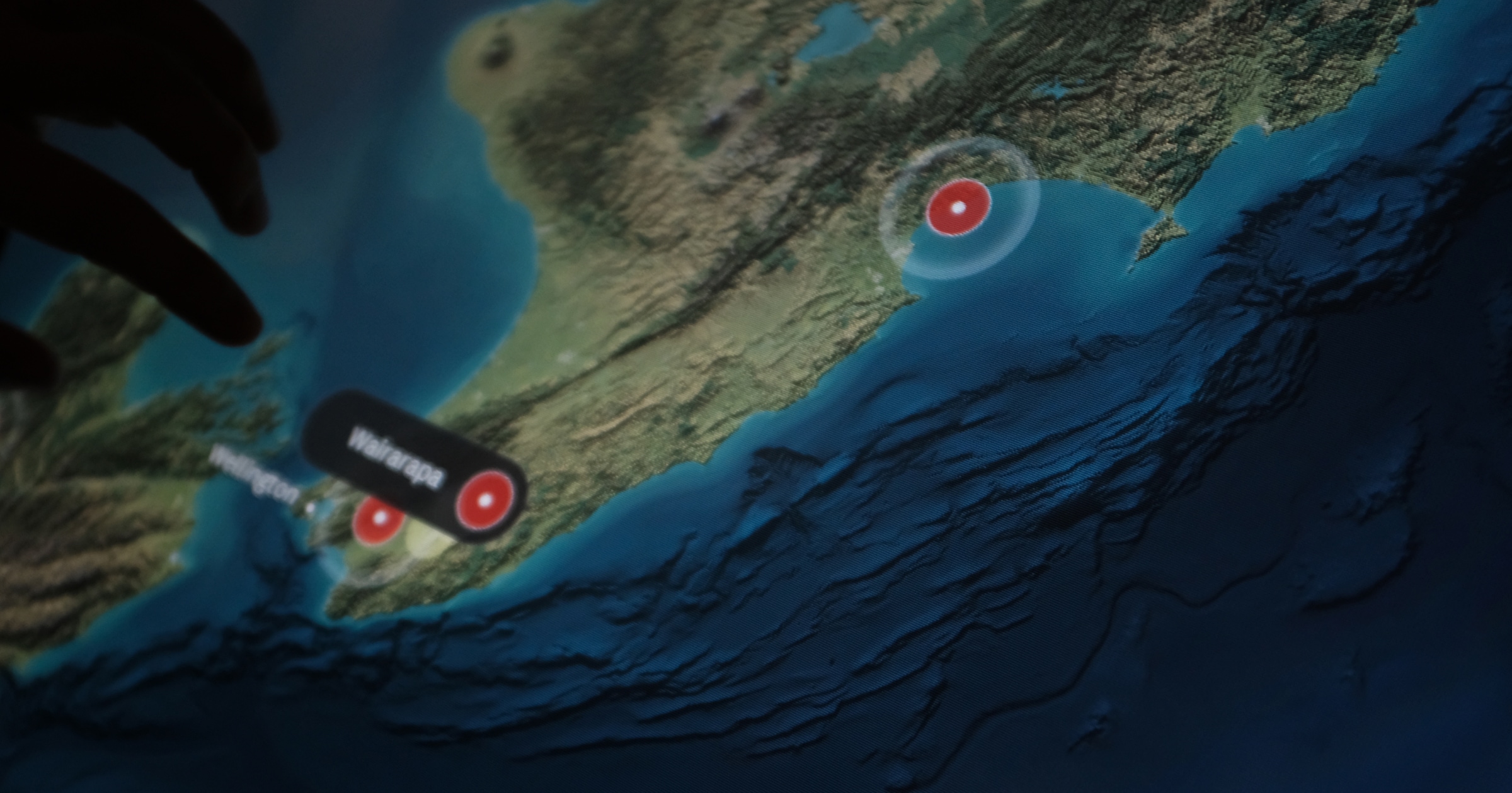 Te Papa — Dan Newman