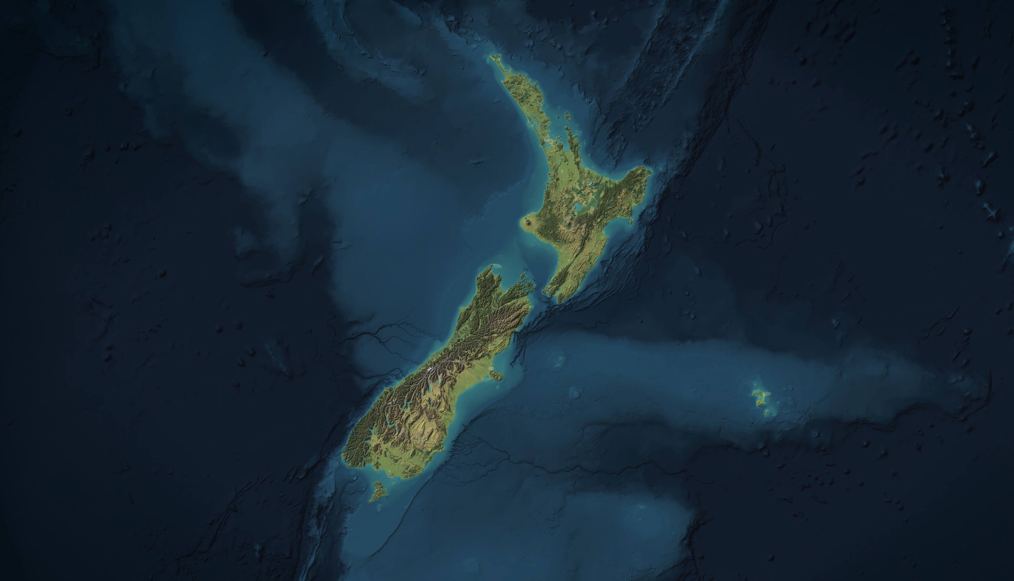 Te Papa — Dan Newman