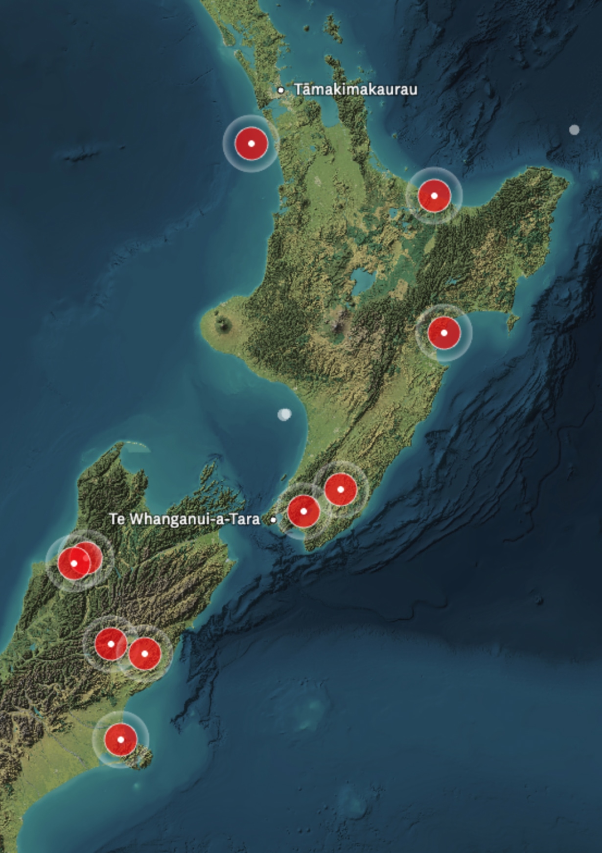 Te Papa — Dan Newman