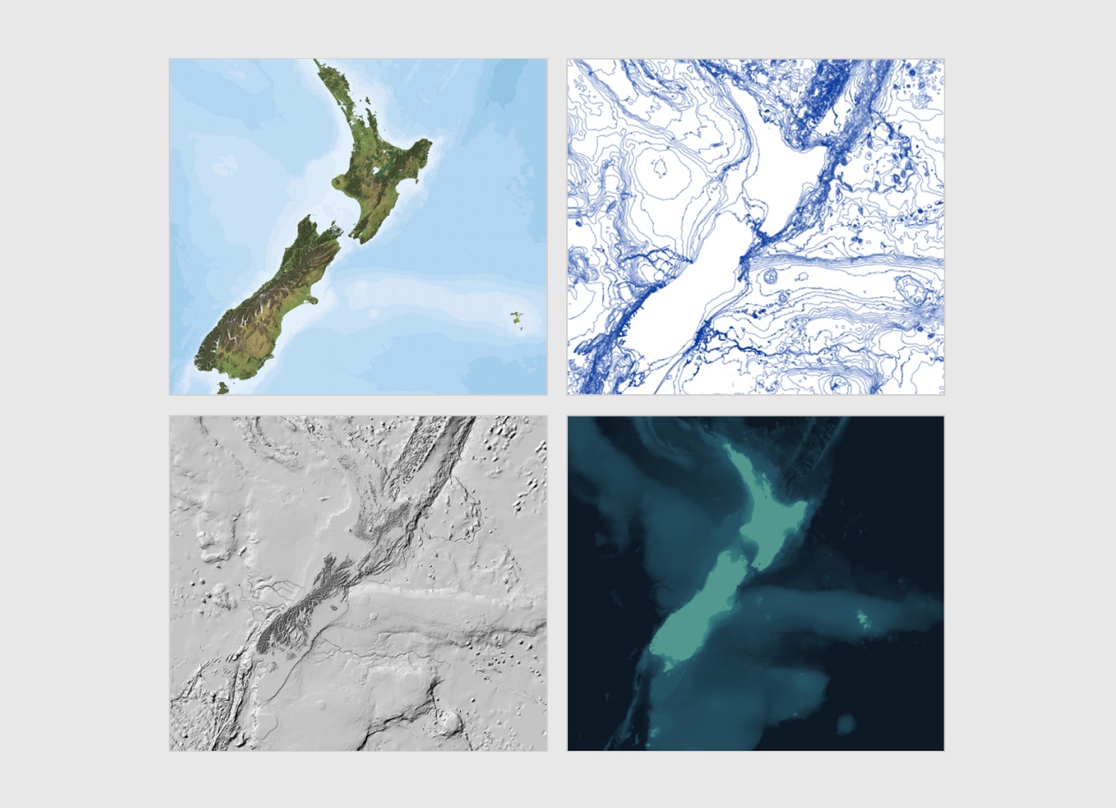 Te Papa — Dan Newman