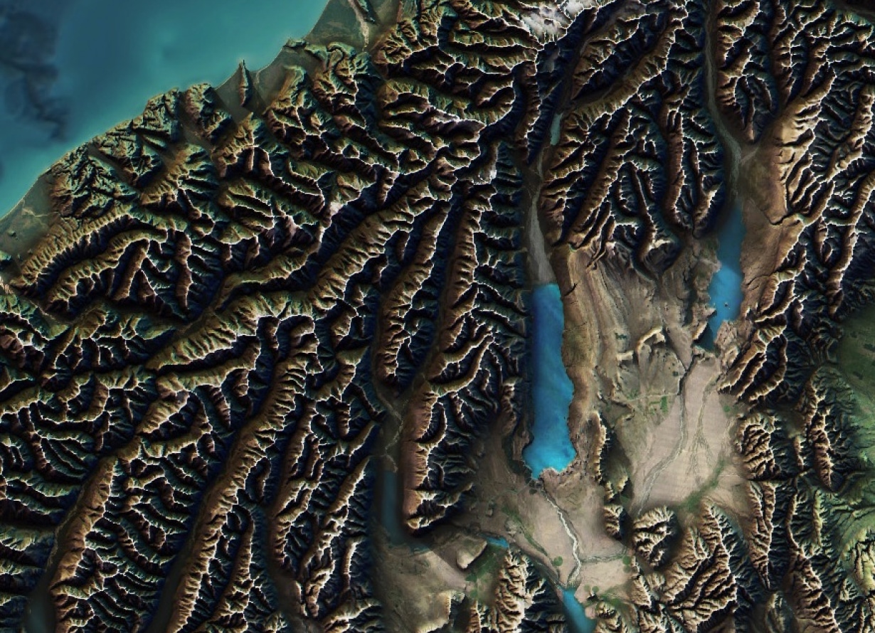 Te Papa — Dan Newman