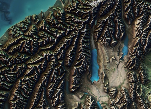 Te Papa — Dan Newman